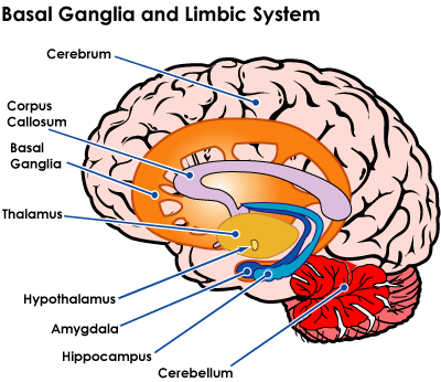 Index of /userfiles/image